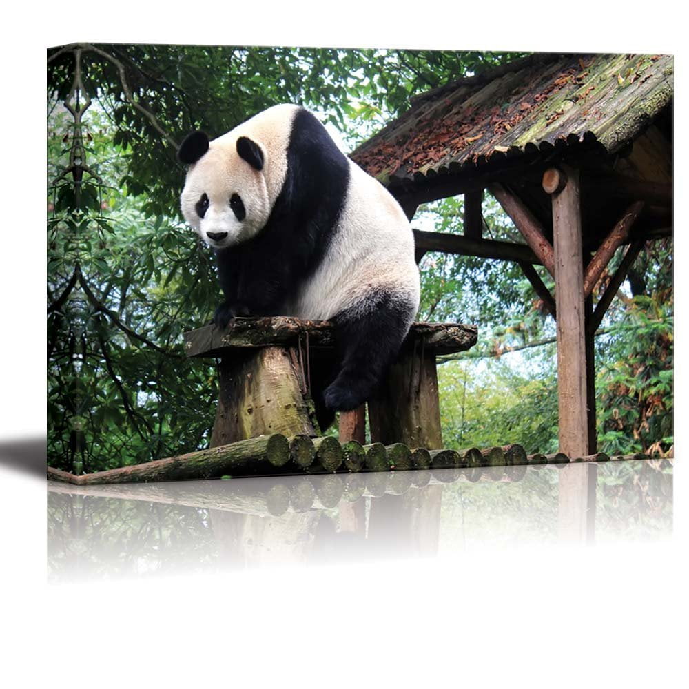 Canvas Prints Wall Art - Cute Animal Giant Panda | Modern Wall Decor ...