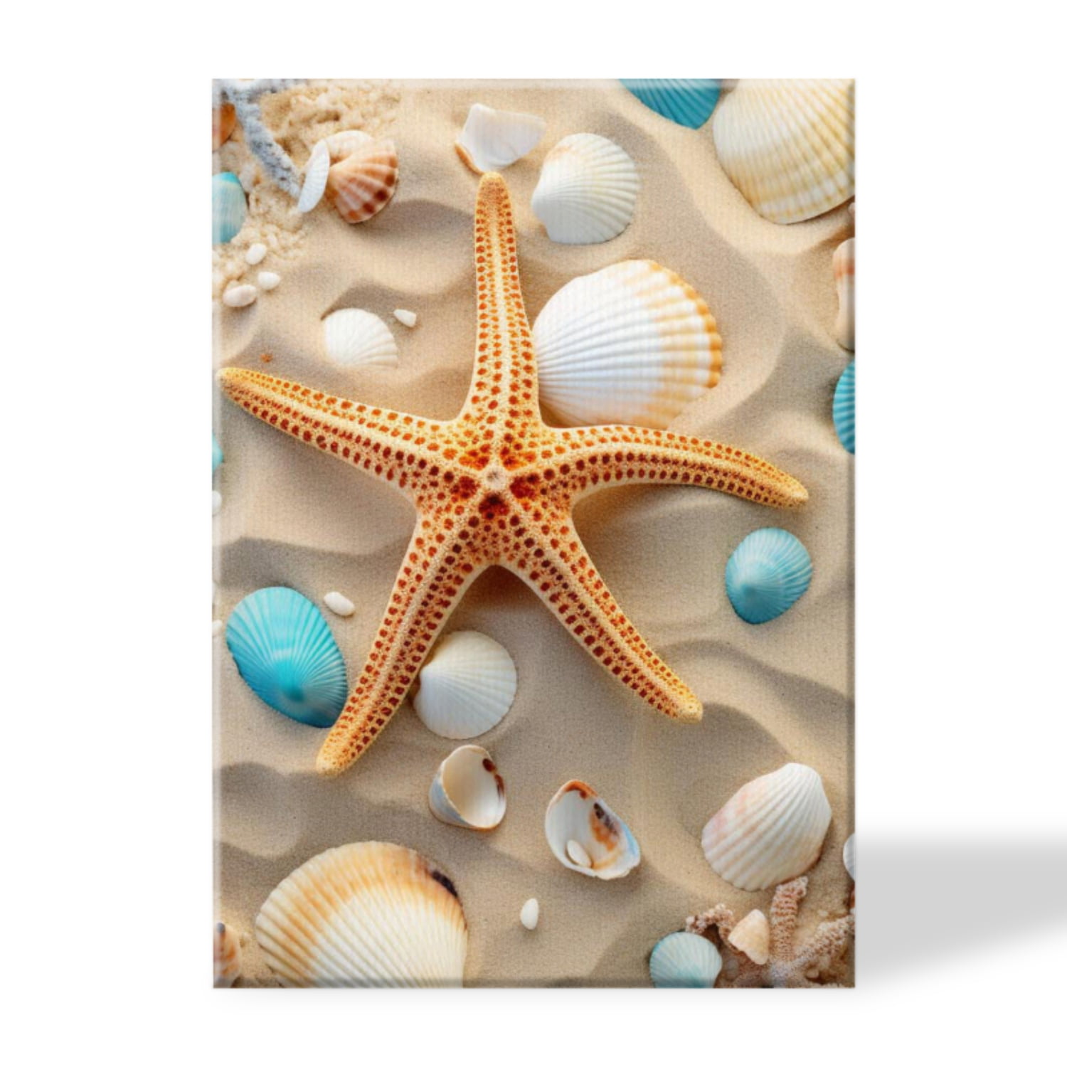 Canvas Prints Wall Art Framed Hanging Painting Wall Art,Seashells And ...