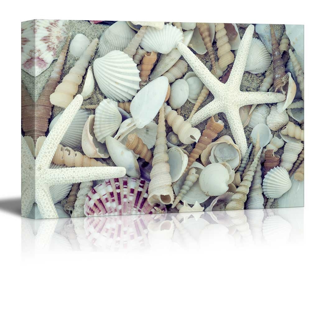 Canvas Prints Wall Art - Still Life Bunch of Seashells and Starfish ...
