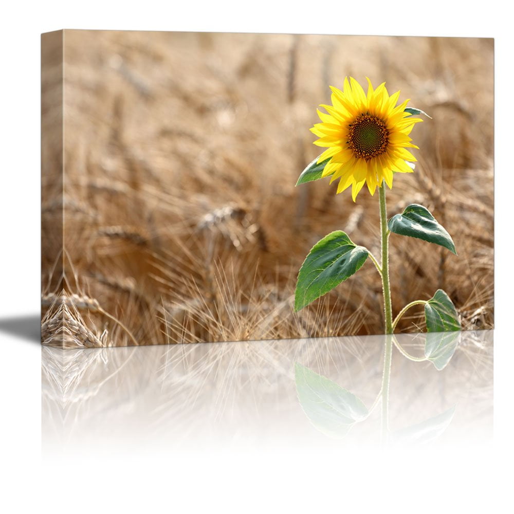 Canvas Prints Wall Art - Sunflower on Wheat Field in Summer Sunny Day ...