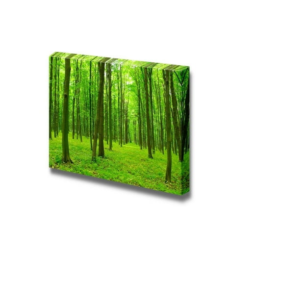 Canvas Prints Wall Art - Trees in a Green Forest in Spring | Modern ...