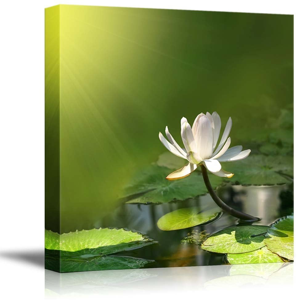 Canvas Prints Wall Art - Water Lily/Lotus with a Green Background ...