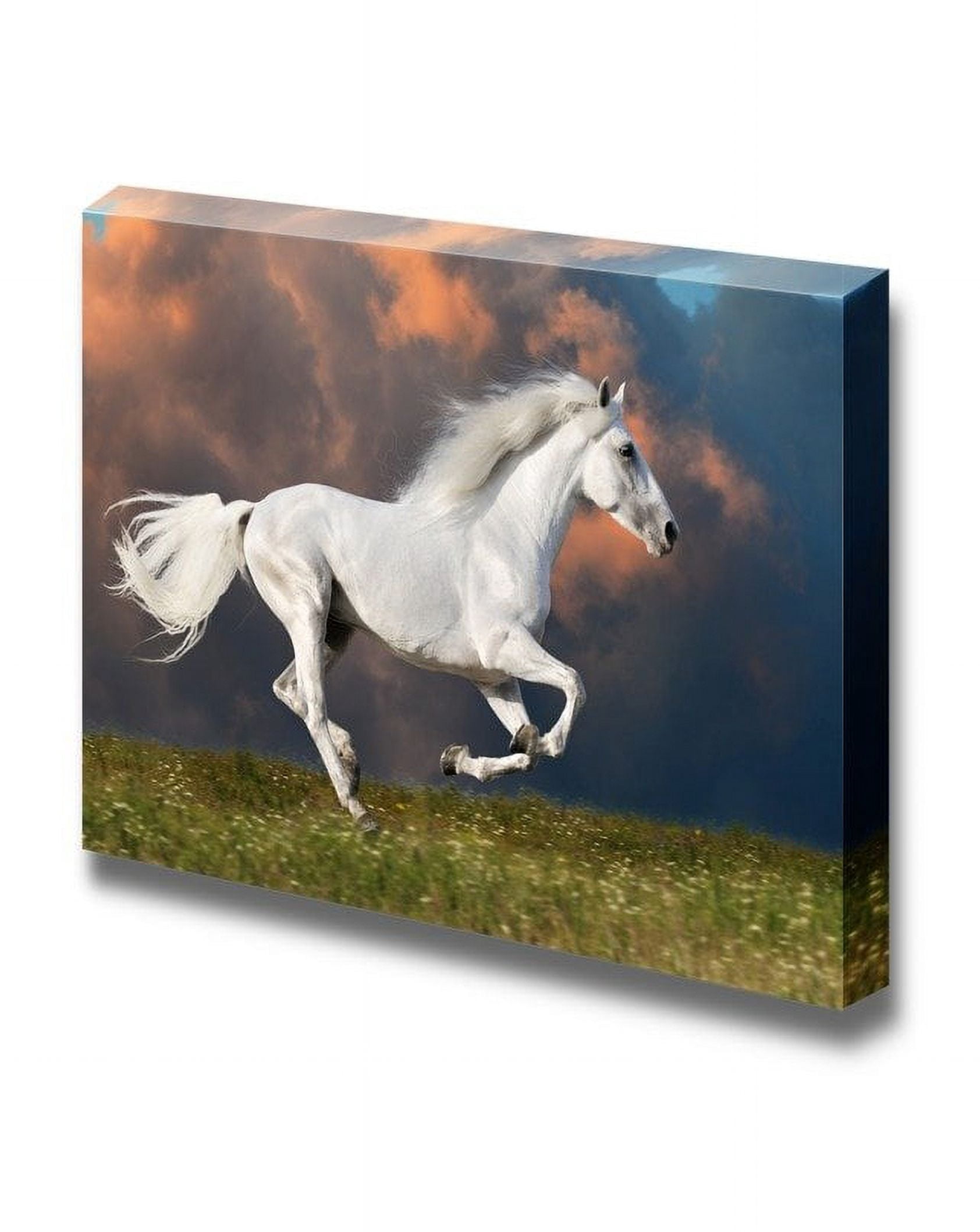 Canvas Prints Wall Art - White Horse Runs/Gallops Under The Dark Sky ...