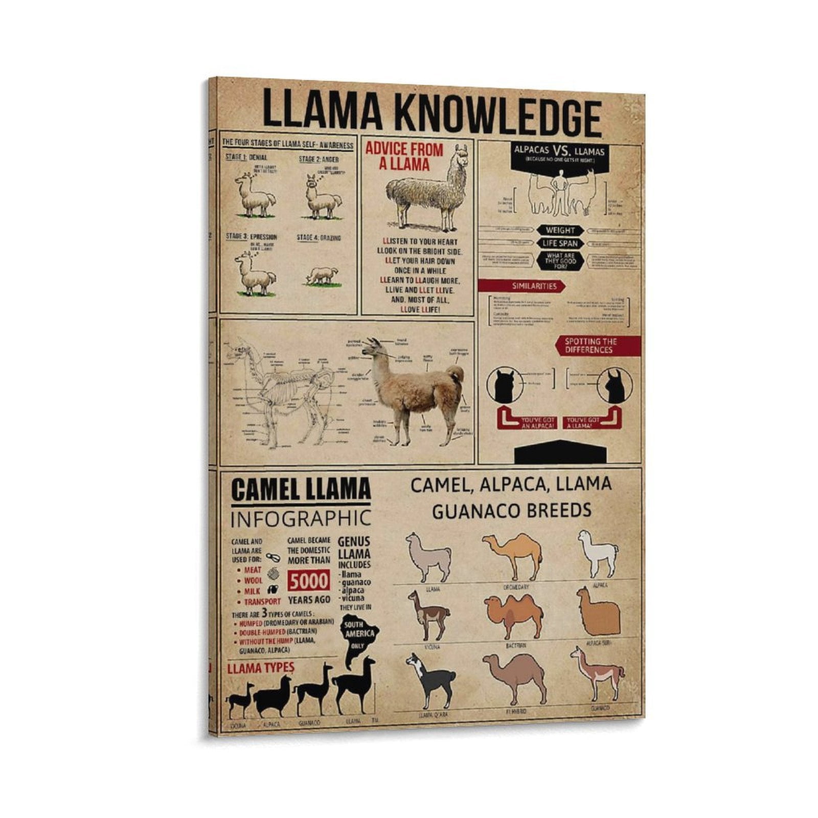 Canvas Wall Art 12x18inch Photograph with Wooden Framed Popular Science ...