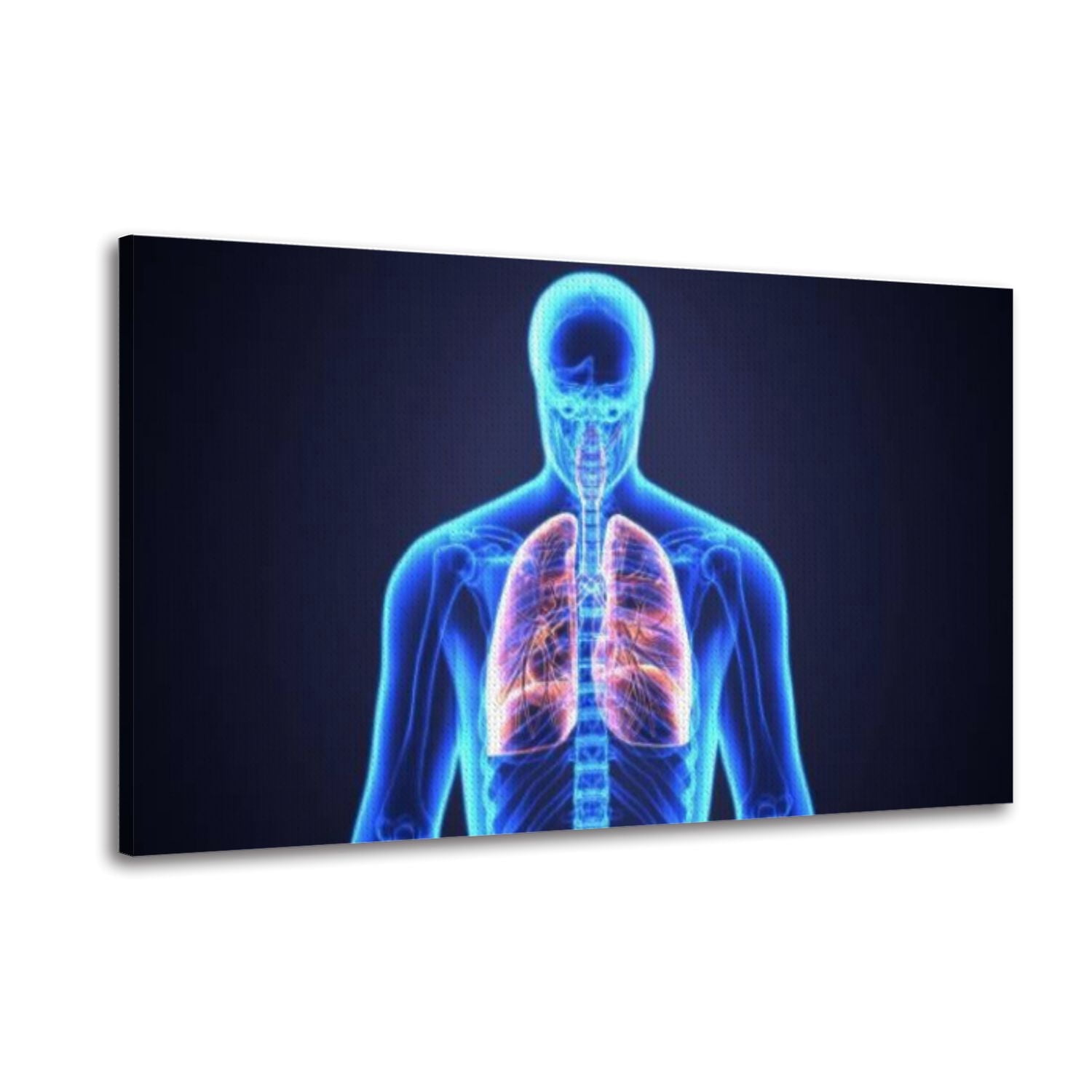 Canvas Wall Art 3d human body lungs human body part Wall Decor for ...