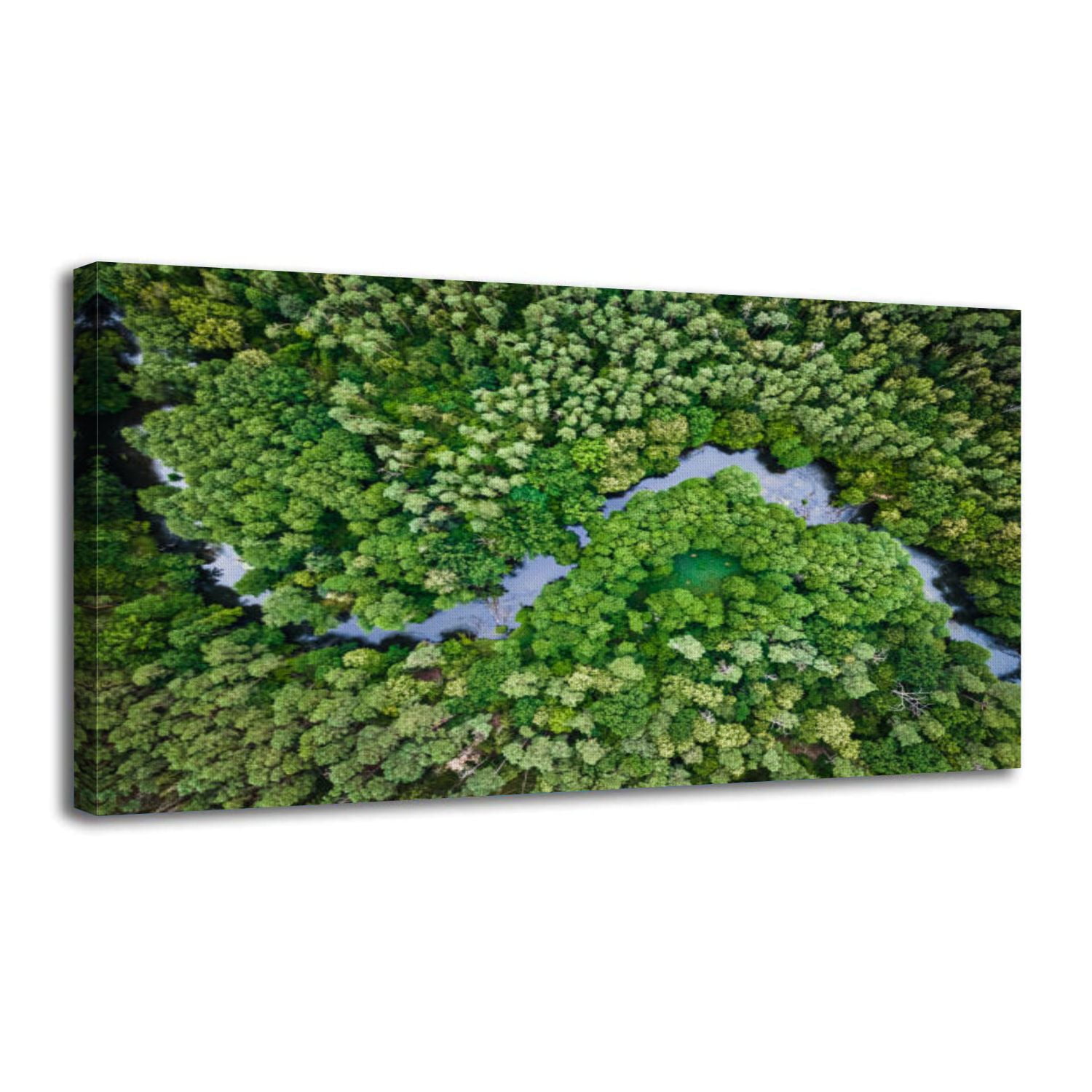 Canvas Wall Art Aerial view river swamps forest Wall Decor for Living ...