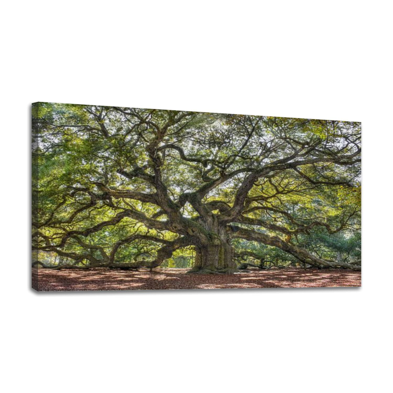 Canvas Wall Art Angle Oak Tree South Wall Decor for Living Room ...