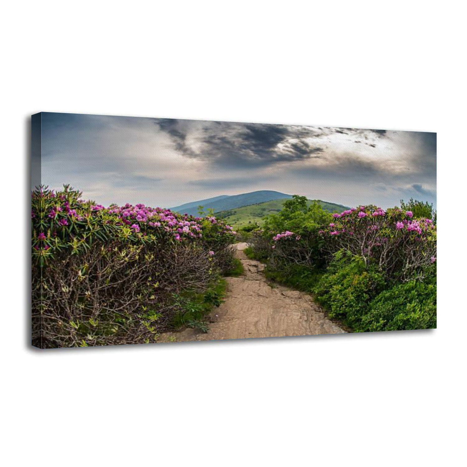 Canvas Wall Art Appalachian Trail Descends Jane Bald Rhododendron Wall ...