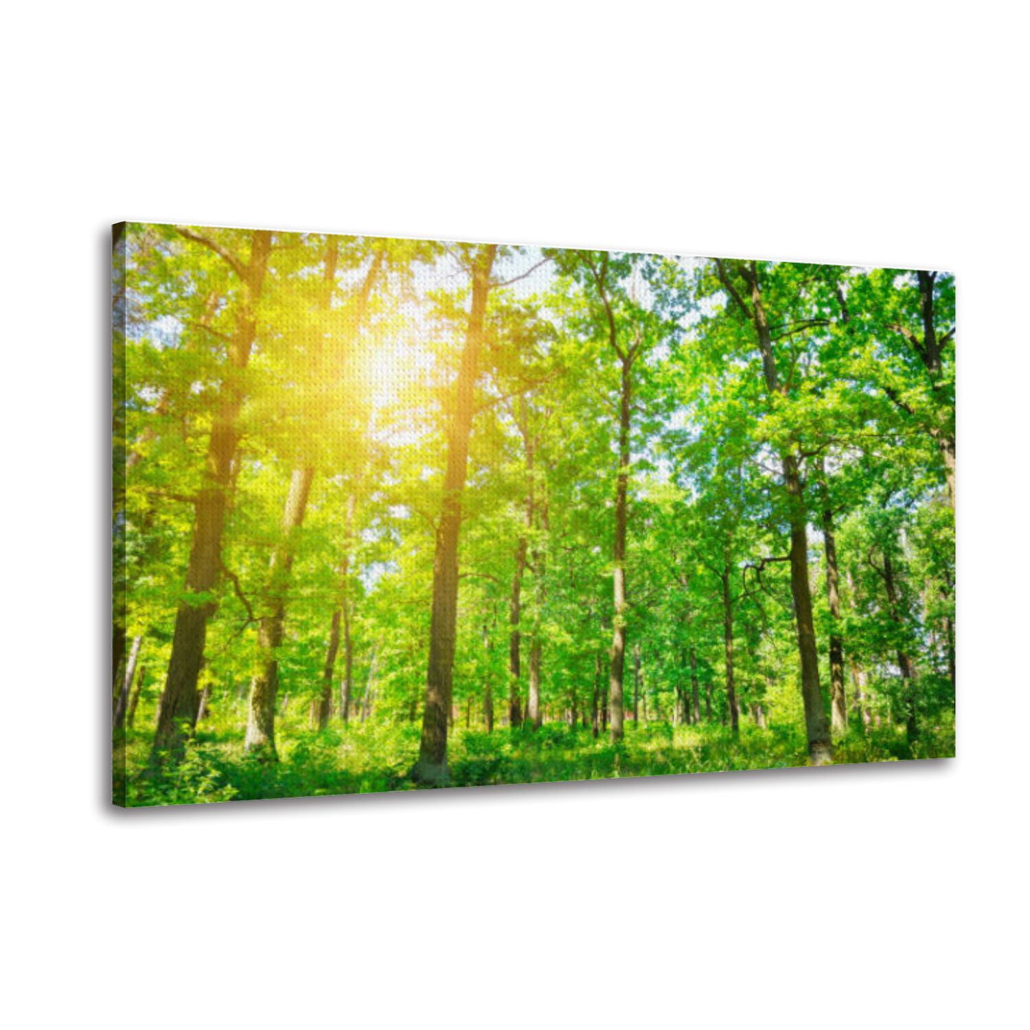 Canvas Wall Art Beautiful panorama landscape sun forest meadow sunrise ...