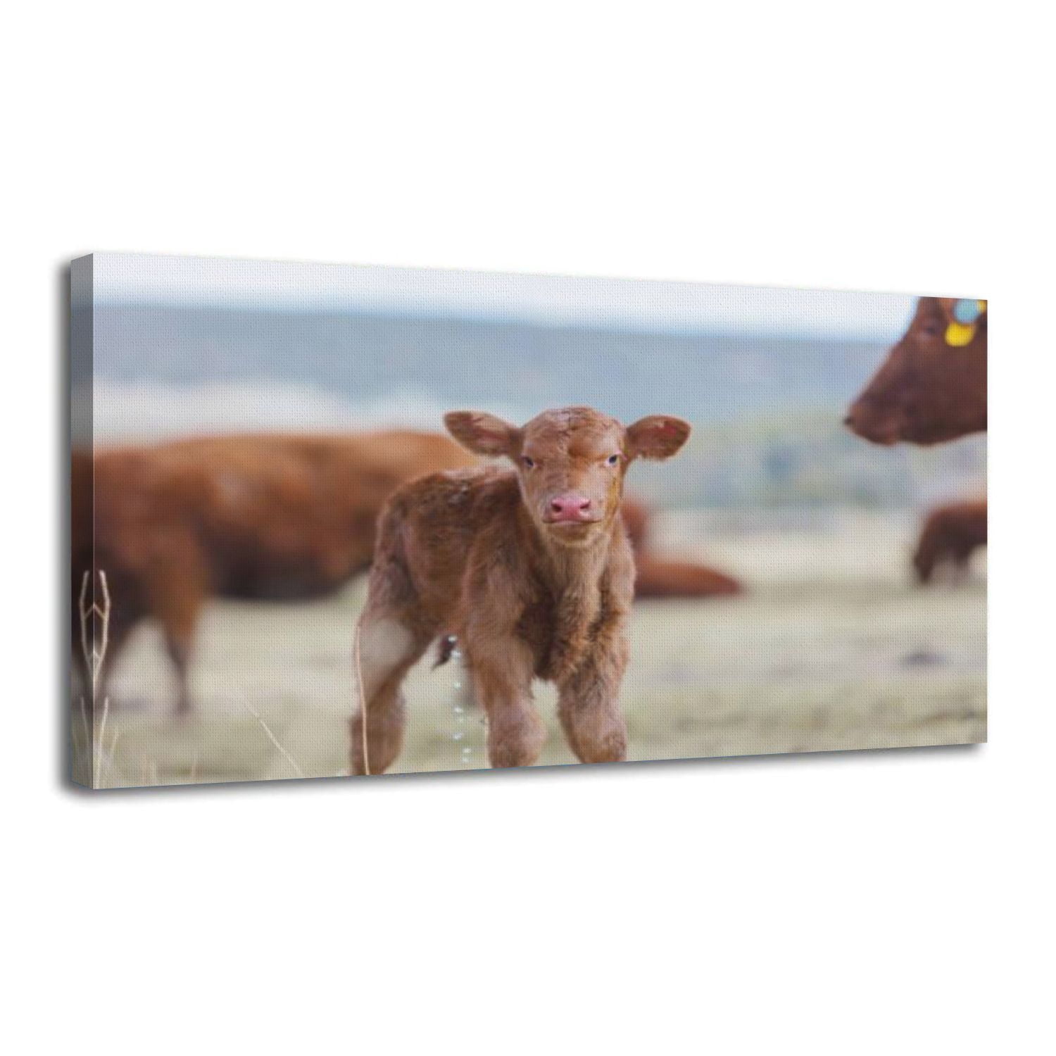 Canvas Wall Art Beef Cattle Western Colorado Livestock Wall Decor for ...