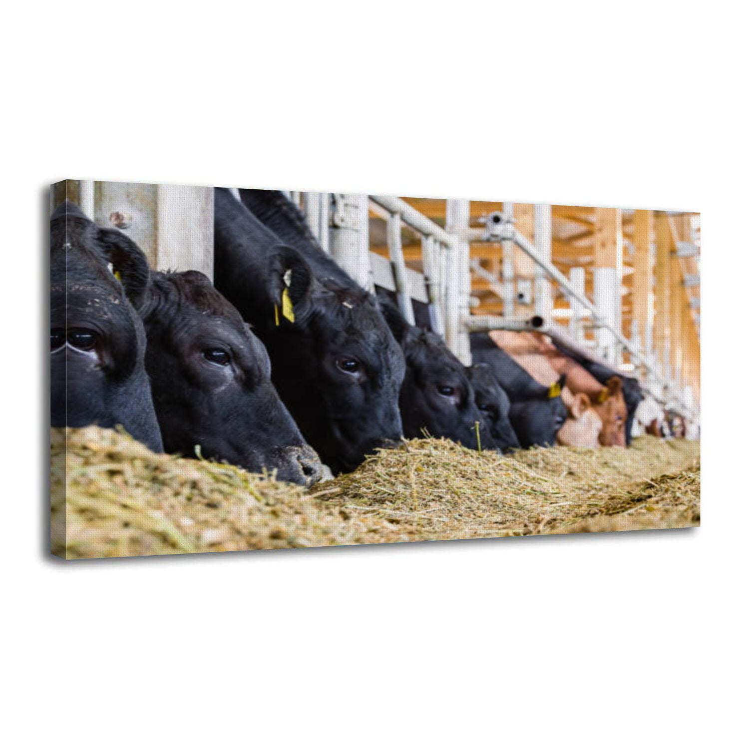 Canvas Wall Art Beef cattle grazing feeding stall row creative Wall ...