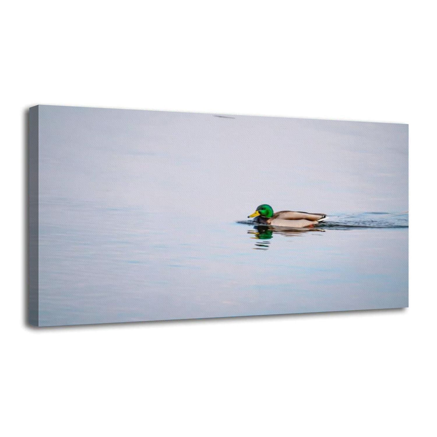 Canvas Wall Art Bird duck drake floating water Wall Decor for Living ...