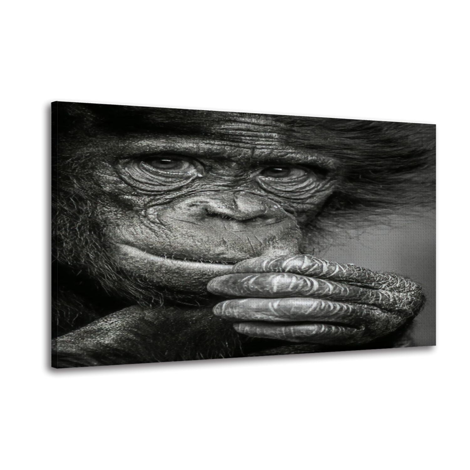 Canvas Wall Art Bonobo looking Thoughtful Wall Decor for Living Room ...