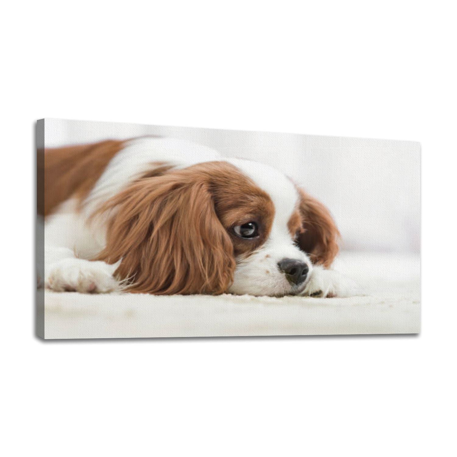 Canvas Wall Art Cavalier King Charles Spaniel Wall Decor for Living ...