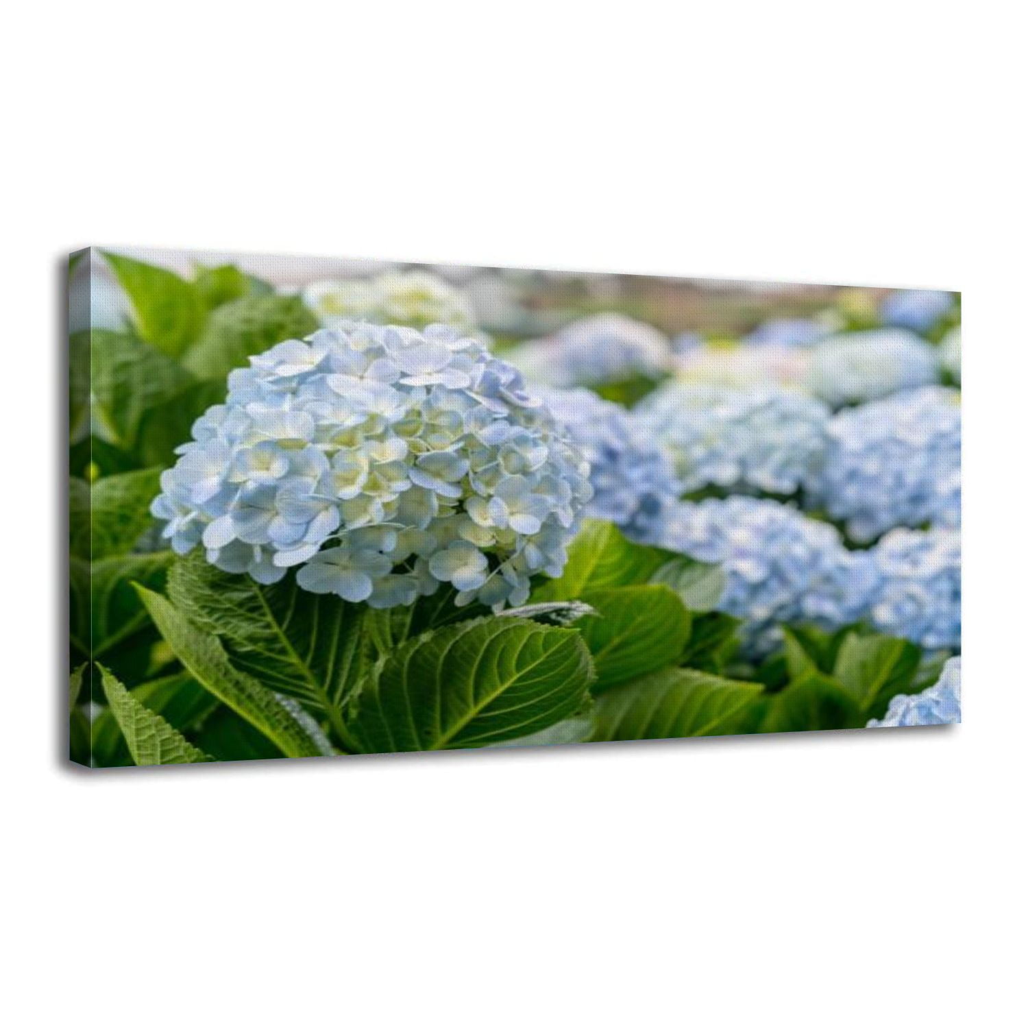Canvas Wall Art Close up hydrangeas Wall Decor for Living Room Bathroom ...