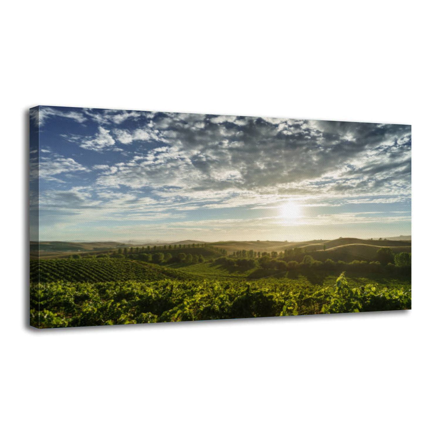 Canvas Wall Art Clouds sunlight Sonoma vineyard summer Wall Decor for ...