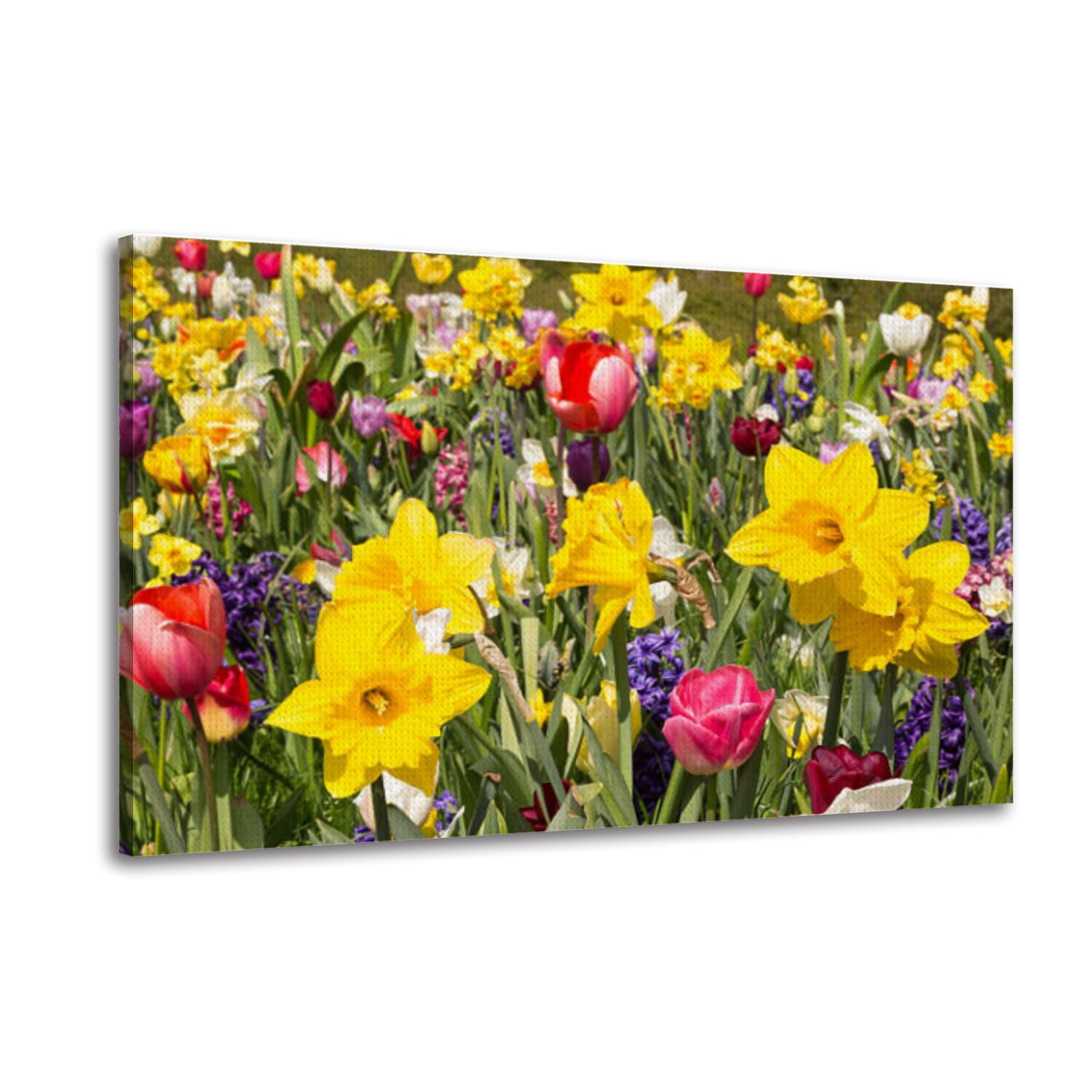 Canvas Wall Art Colorful spring flowers Wall Decor for Living Room ...