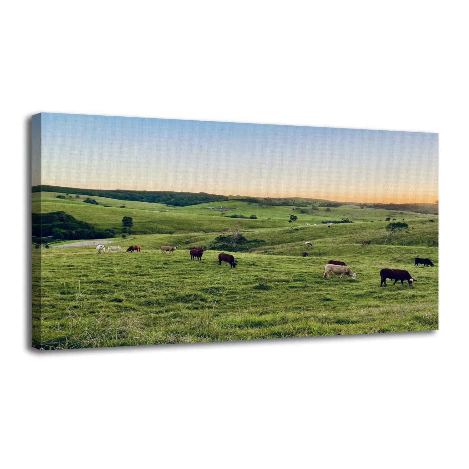 Canvas Wall Art Cows Grazing Country Pastures Sunset Wall Decor for ...