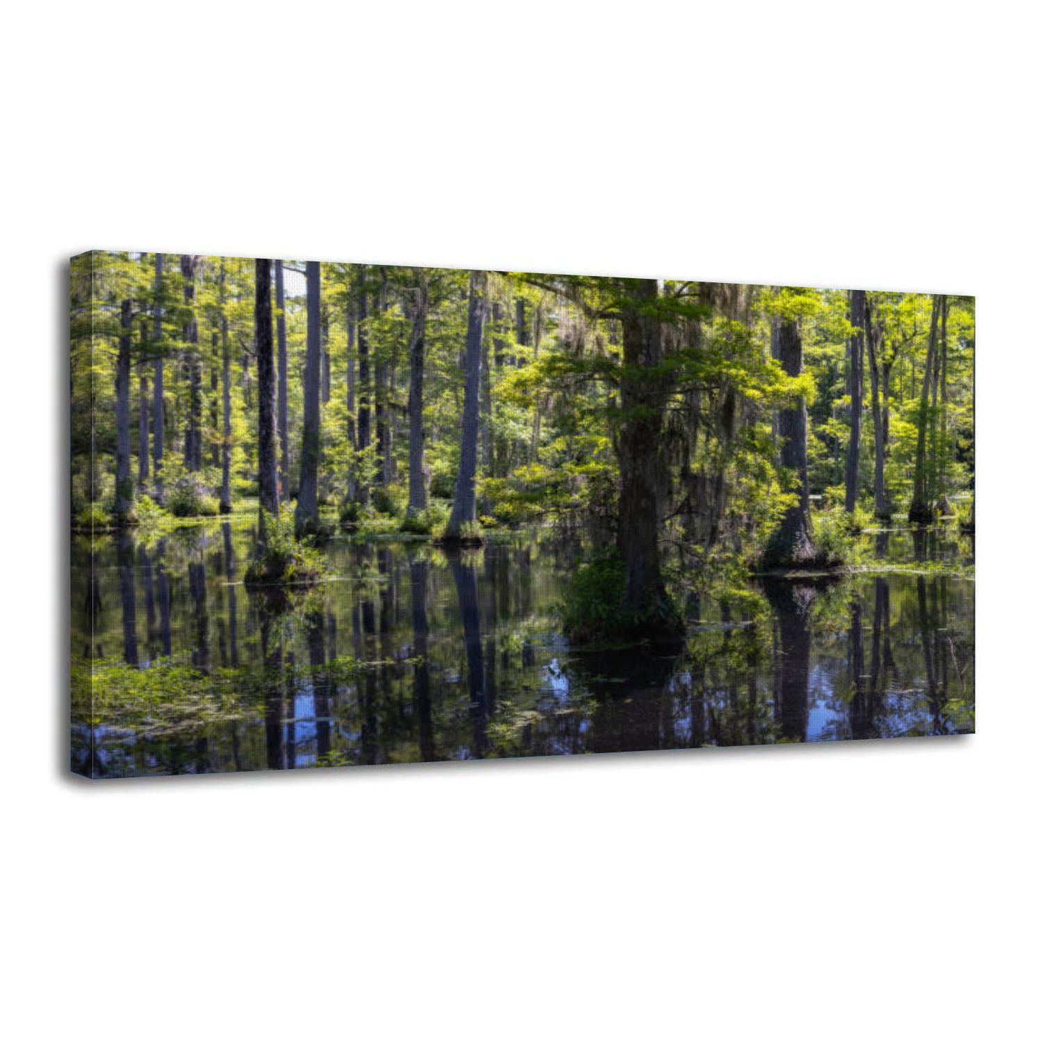 Canvas Wall Art Cypress Swamp Wall Decor for Living Room Bathroom ...