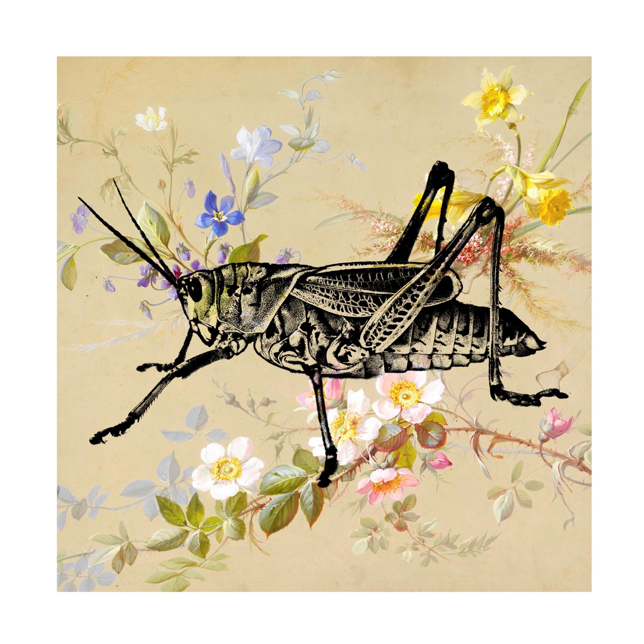 Canvas Wall Art - Dean Russo- Exclusive 'Grasshopper Wallpaper' Wall ...
