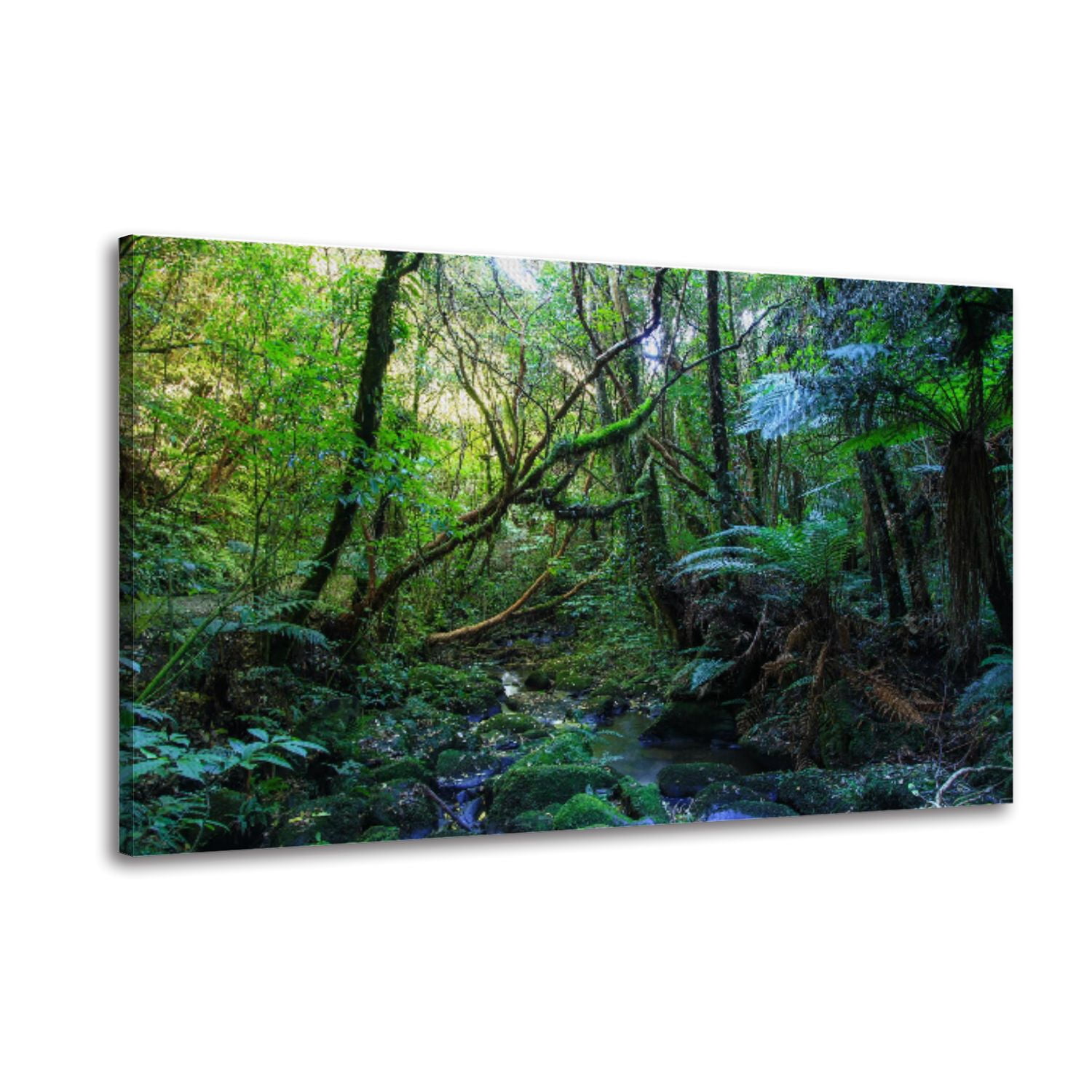 Canvas Wall Art Deep stunning Zealand forest ferns moss stones other ...