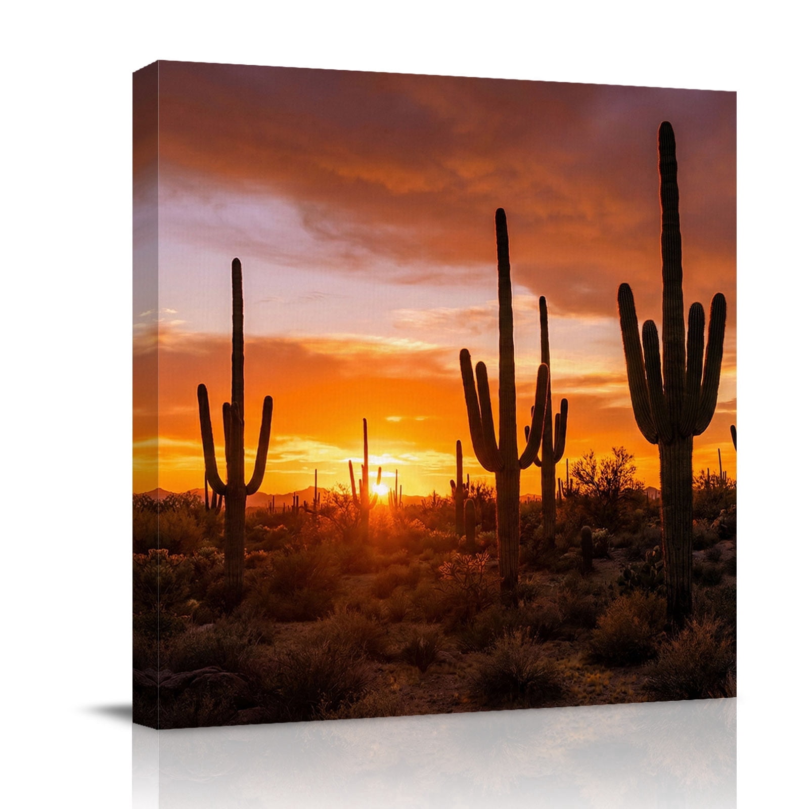 Canvas Wall Art Desert Cactus Canvas Art Print Sunset Plant Nature ...