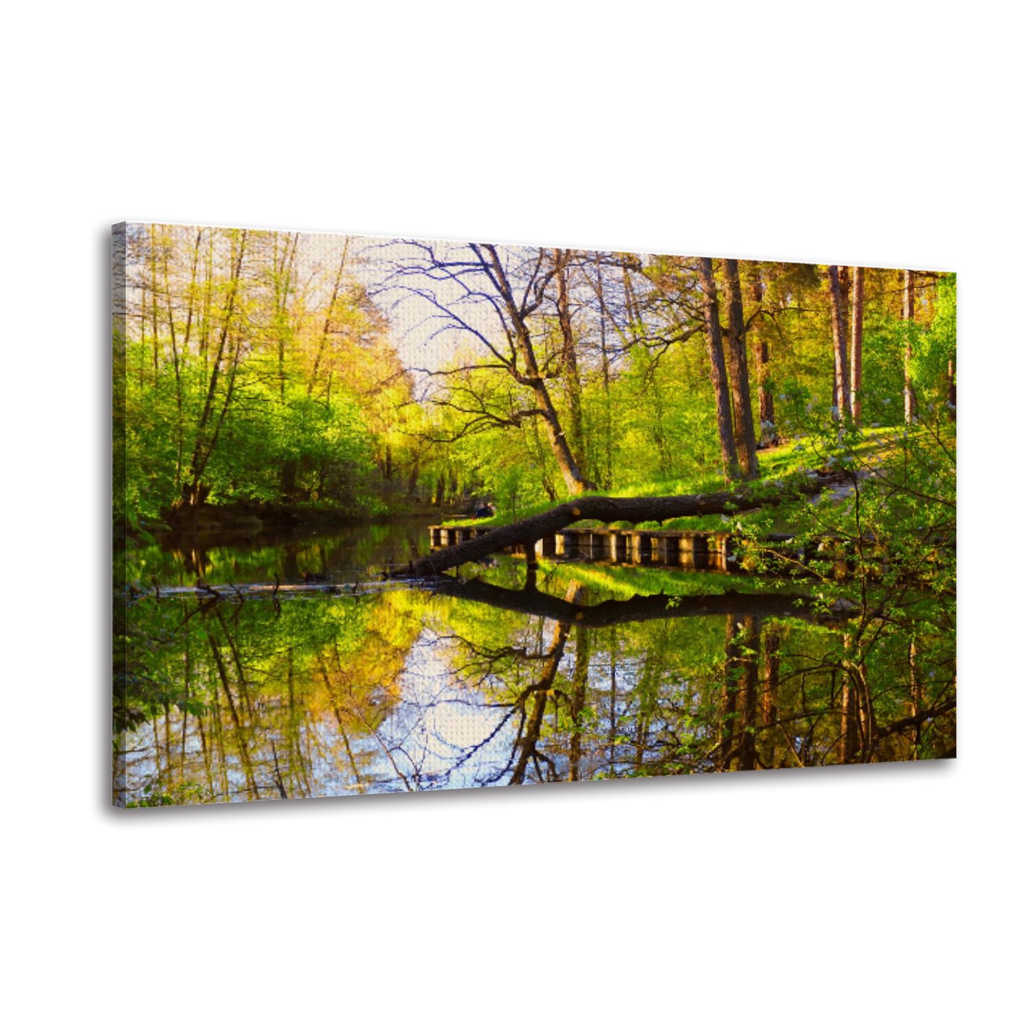Canvas Wall Art Fallen tree forest reflection water surface Colors ...