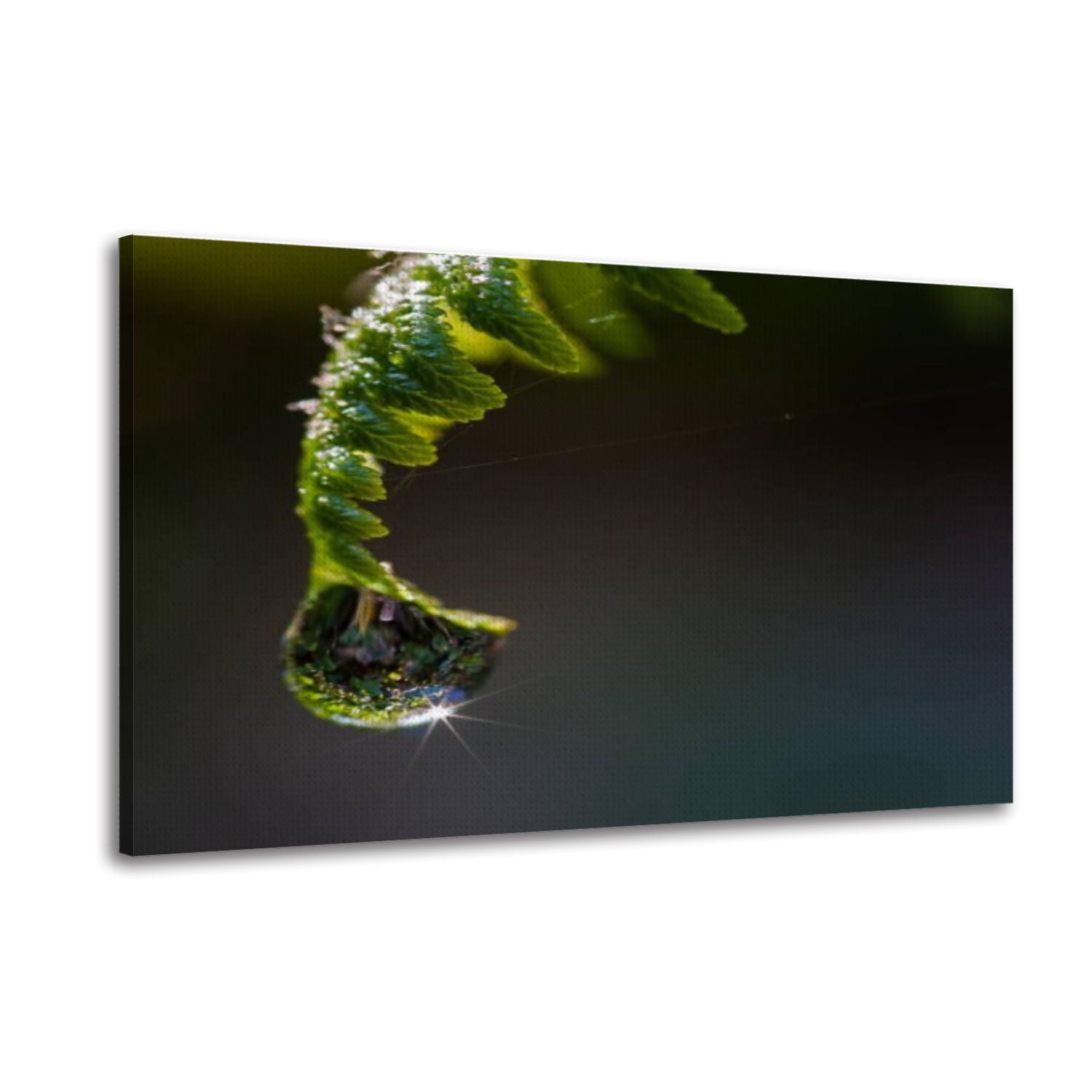 Canvas Wall Art Fern leaf raindrops Wall Decor for Living Room Bathroom Bedroom Office Art ...