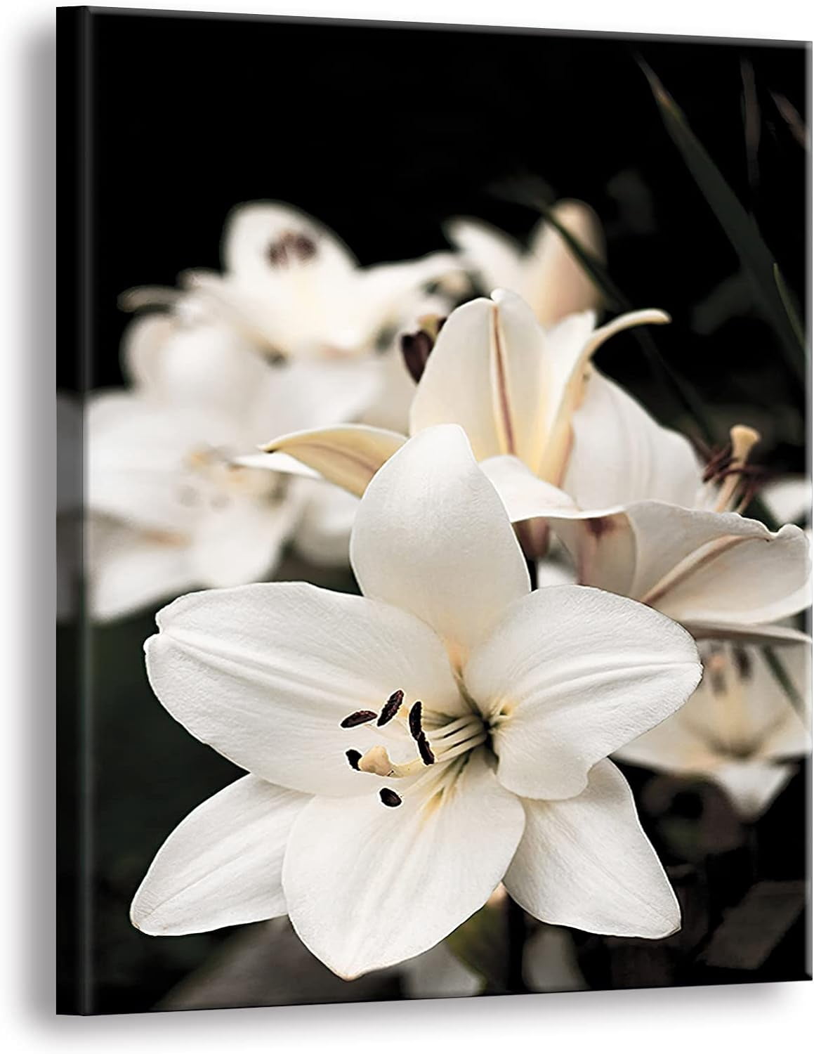 Canvas Wall Art Floral Bloom Blossom Close Up Pictures Modern Wall ...