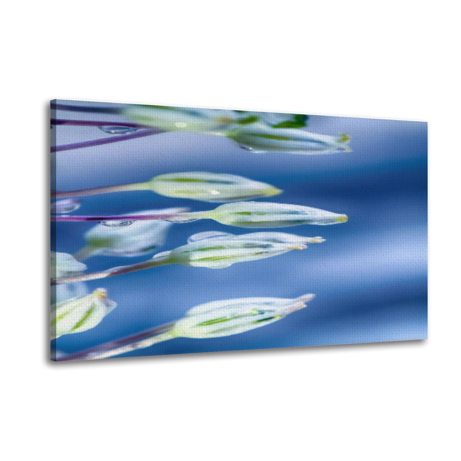 Canvas Wall Art Flower water drops Wall Decor for Living Room Bathroom ...