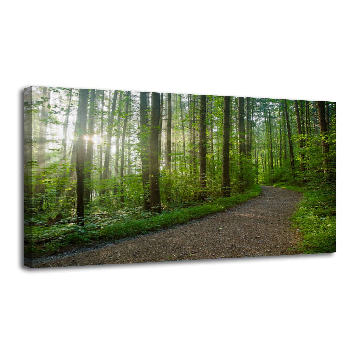 Canvas Wall Art Footpath dense forest sunny day Wall Decor for Living ...