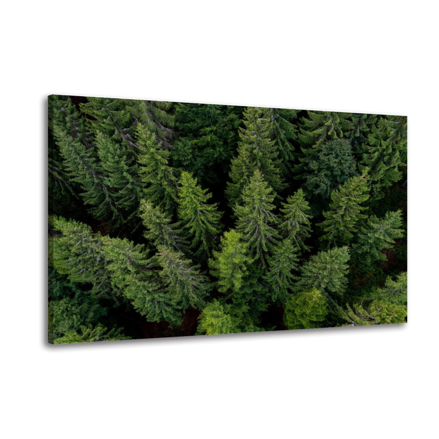 Canvas Wall Art Forest aerial treetop view from suspension bridge ...