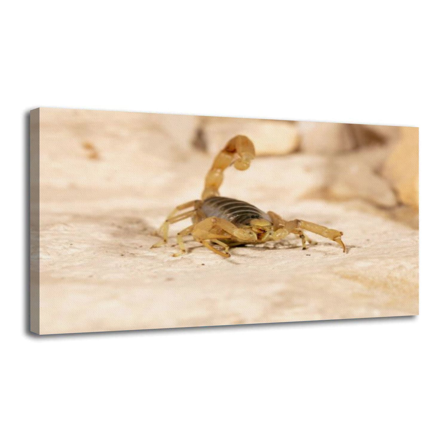 Canvas Wall Art Giant Desert Hairy Scorpion Wall Decor for Living Room ...