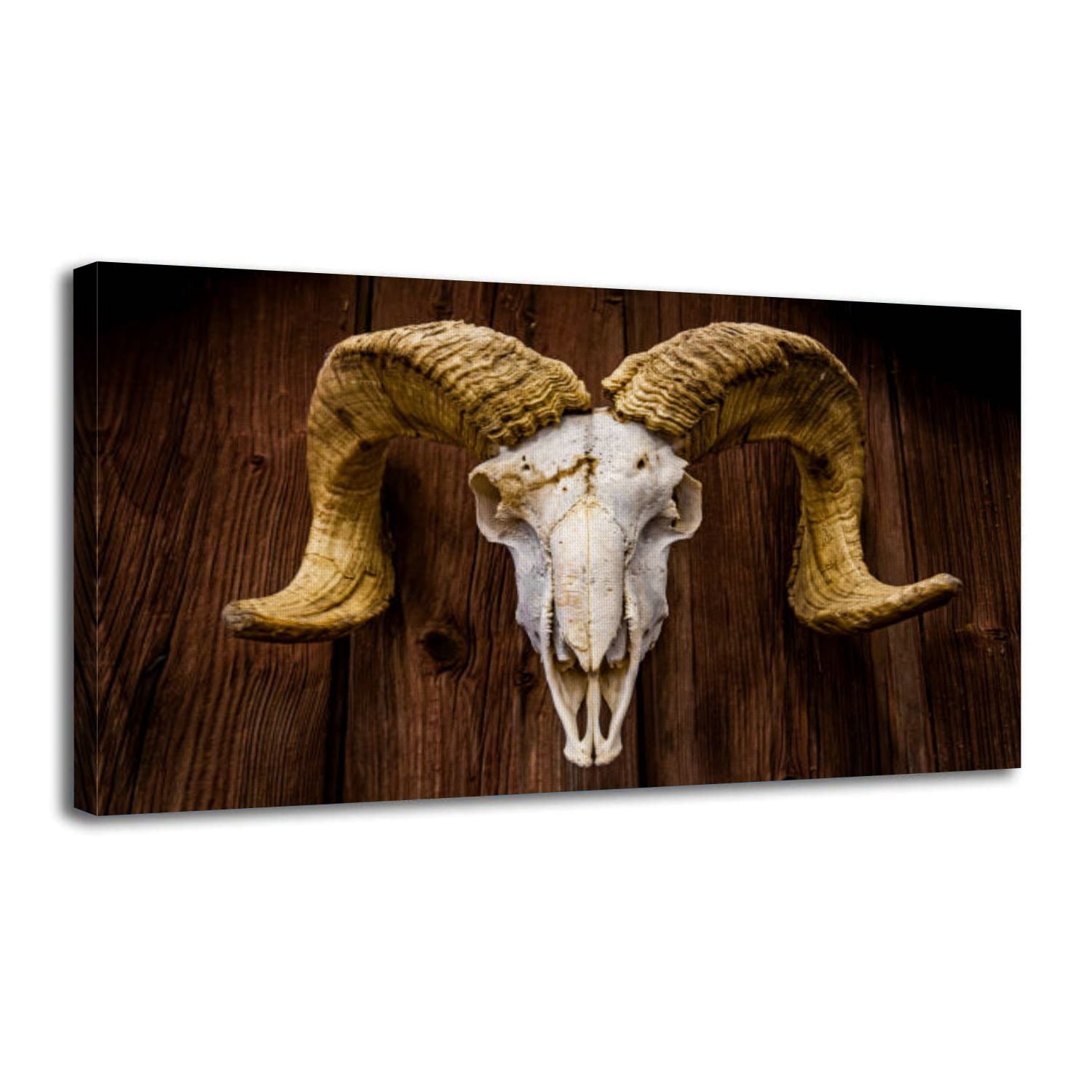 Canvas Wall Art Goat cranium Wall Decor for Living Room Bathroom ...