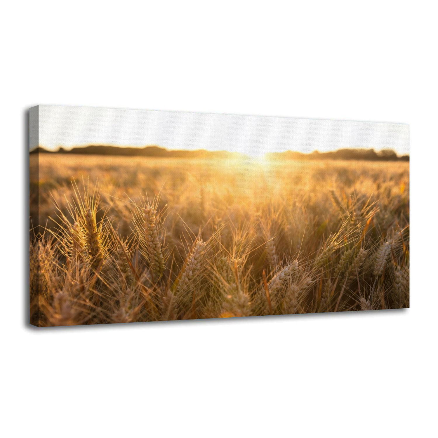 Canvas Wall Art Golden field barley crops growing farm sunset sunrise ...