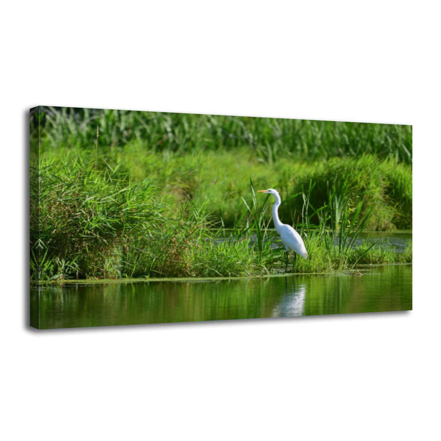 Canvas Wall Art Great Egret along edge marsh Wall Decor for Living Room ...
