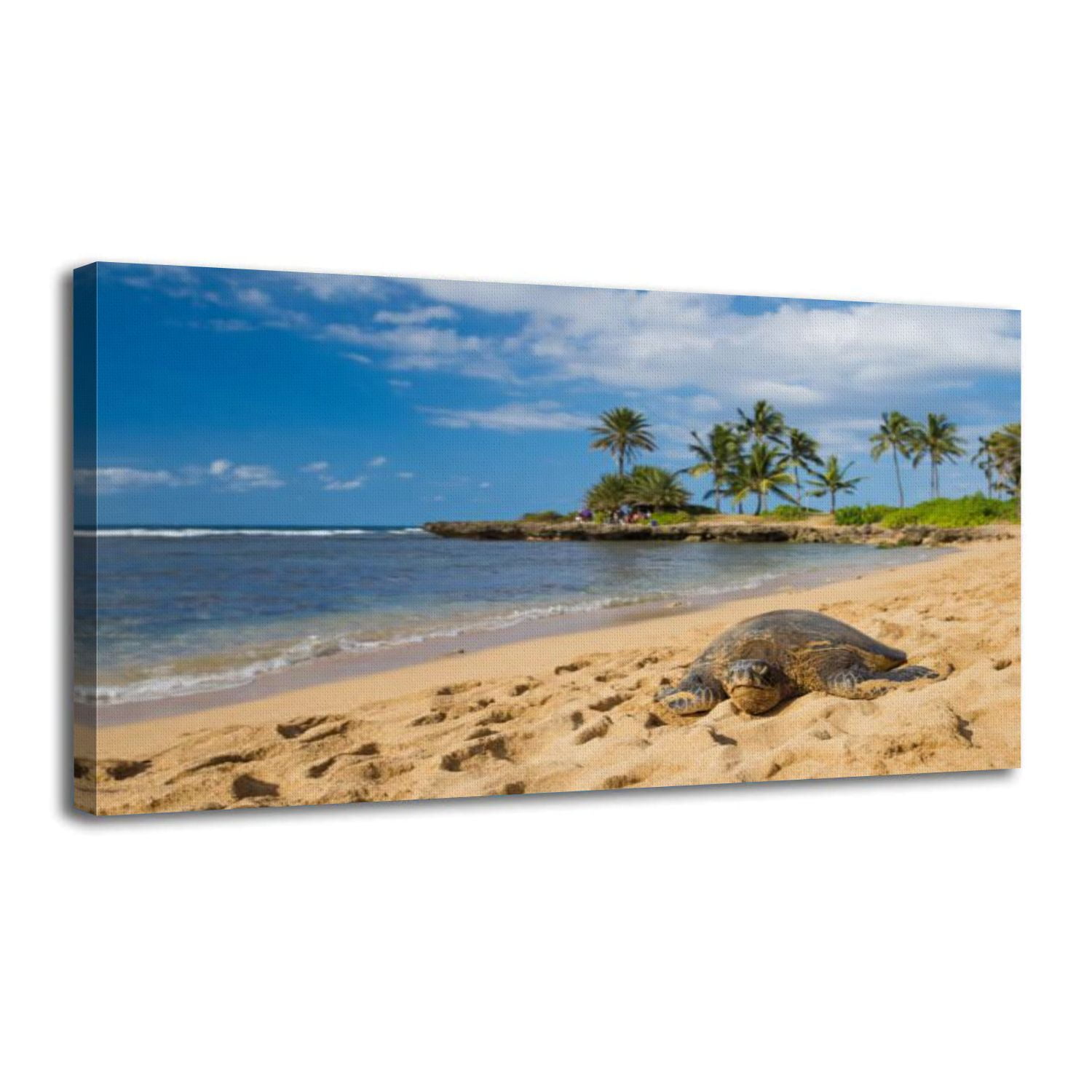 Canvas Wall Art Green seaturtle beach Haleiwa Oahu Hawaii Wall Decor ...