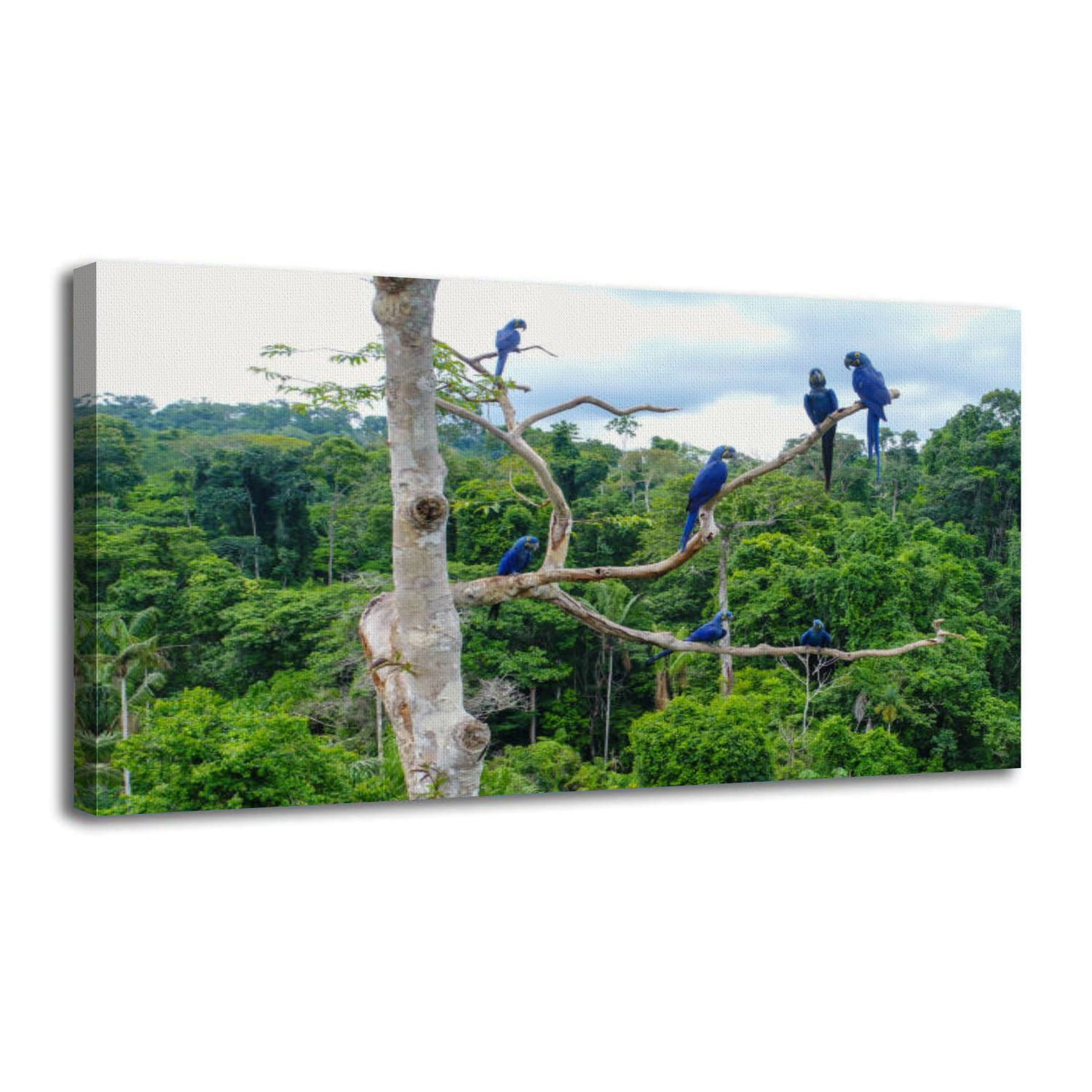 Canvas Wall Art Group Hyacinth Blue Macaw Wall Decor for Living Room ...
