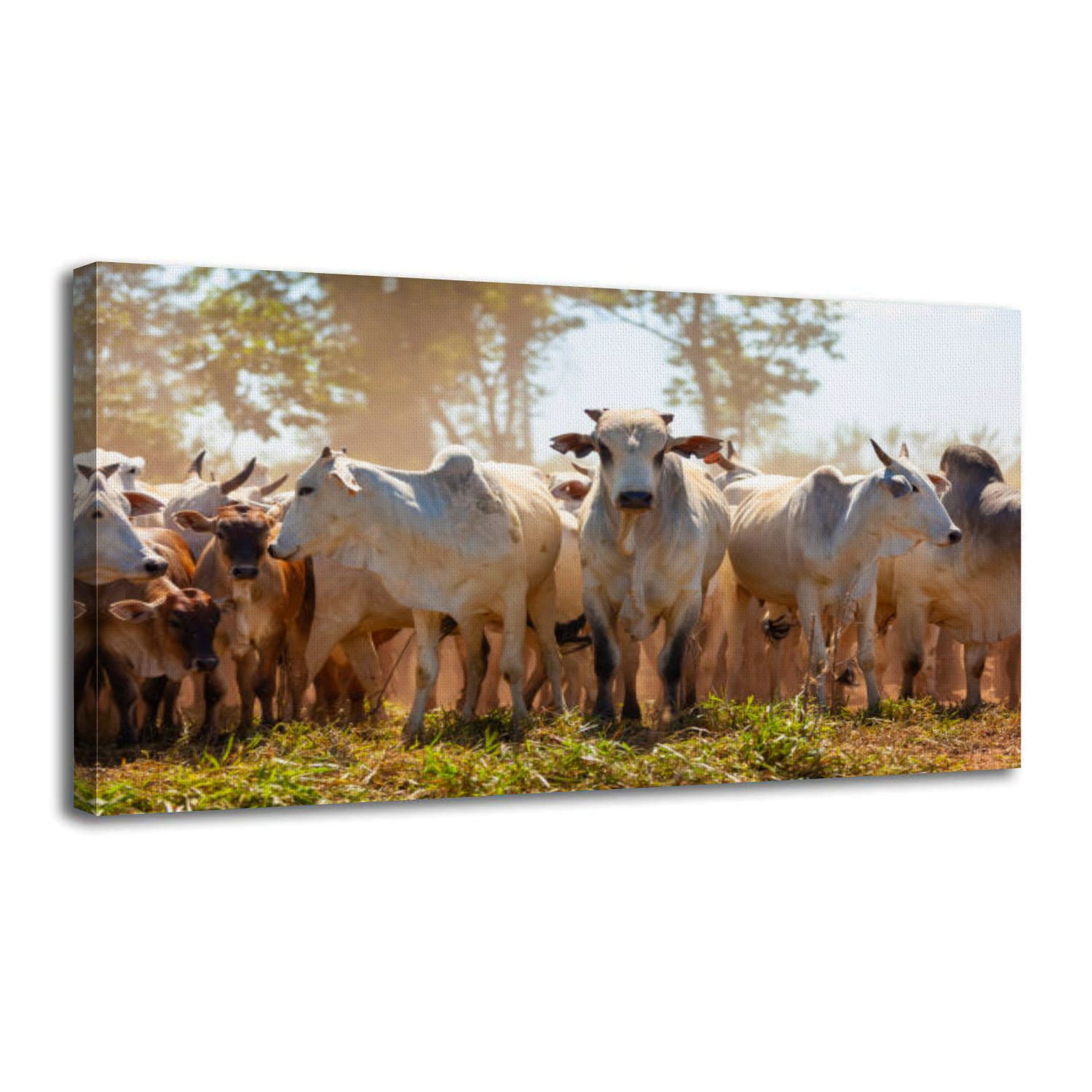 Canvas Wall Art Herd Nellore cows their Bonsmara insemination calves ...