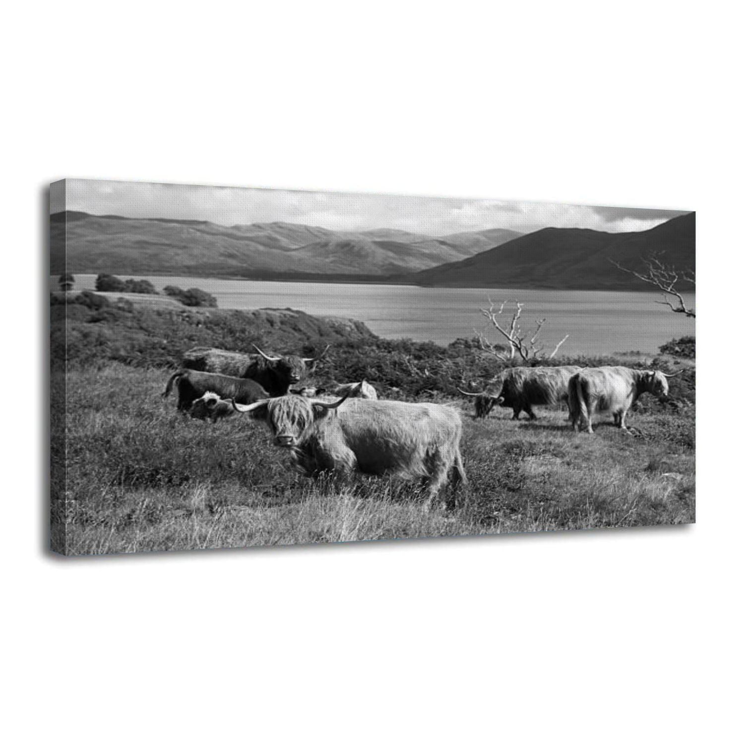 Canvas Wall Art Highland Cattle Isle Mull Scotland Highland Cattle ...