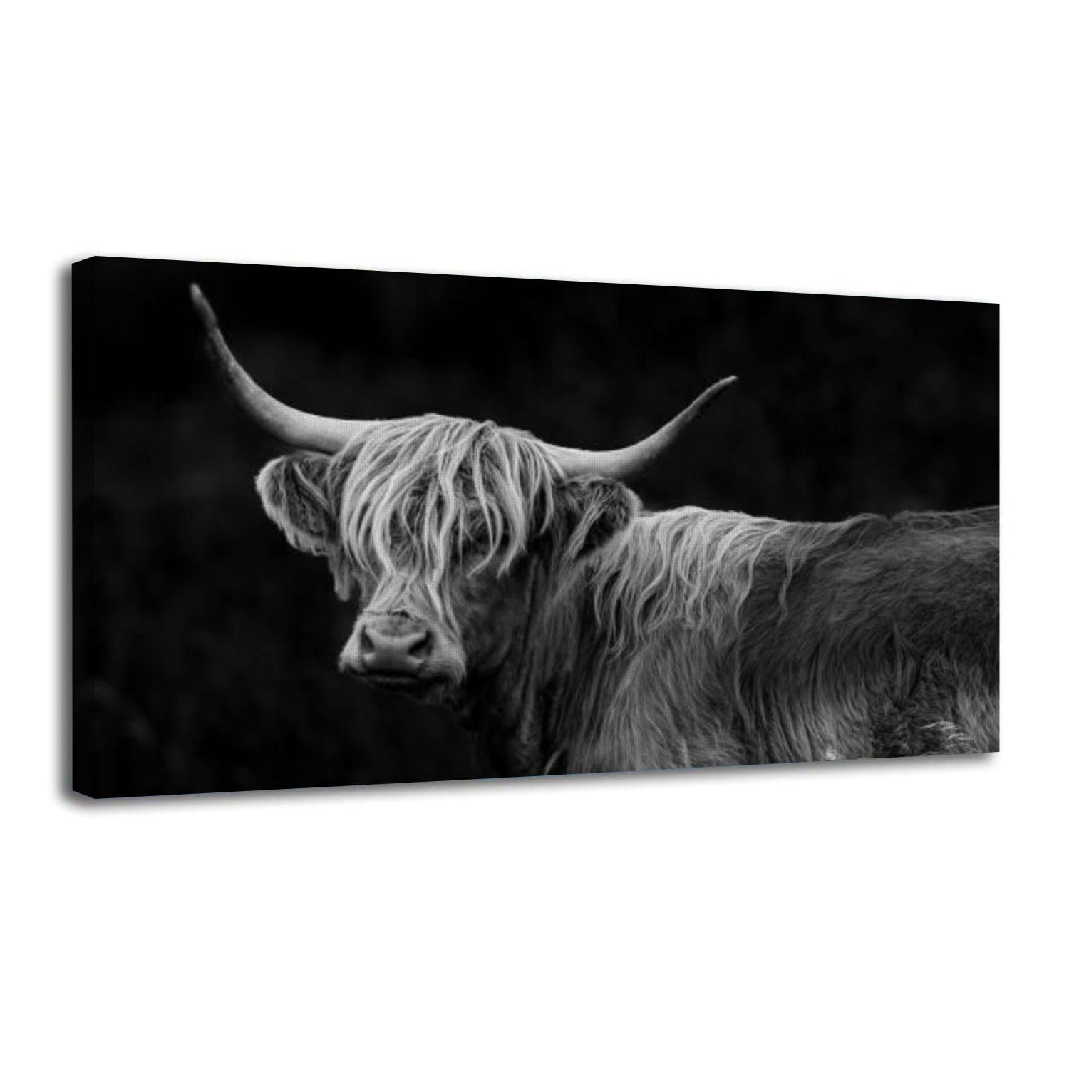 Canvas Wall Art Highland Cow Dark Wall Decor for Living Room Bathroom ...