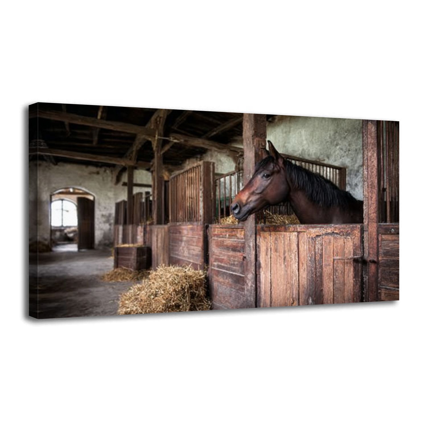 Canvas Wall Art Horse box stable Wall Decor for Living Room Bathroom ...