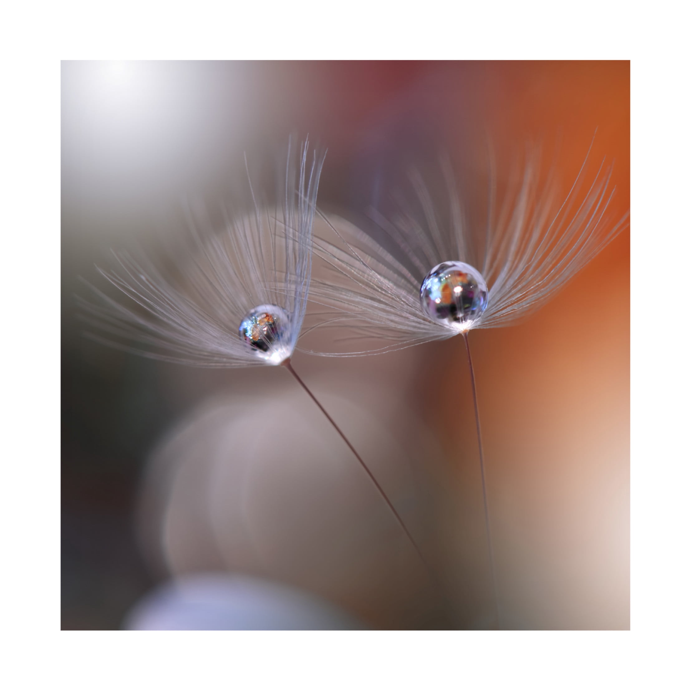 Canvas Wall Art - Juliana Nan 'Immortal Love ' Wall Art for Living Room ...