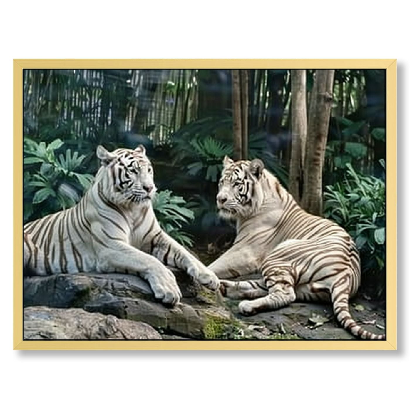 Canvas Wall Art Jungle Bengal White Color Tiger Prints Poster Modern ...