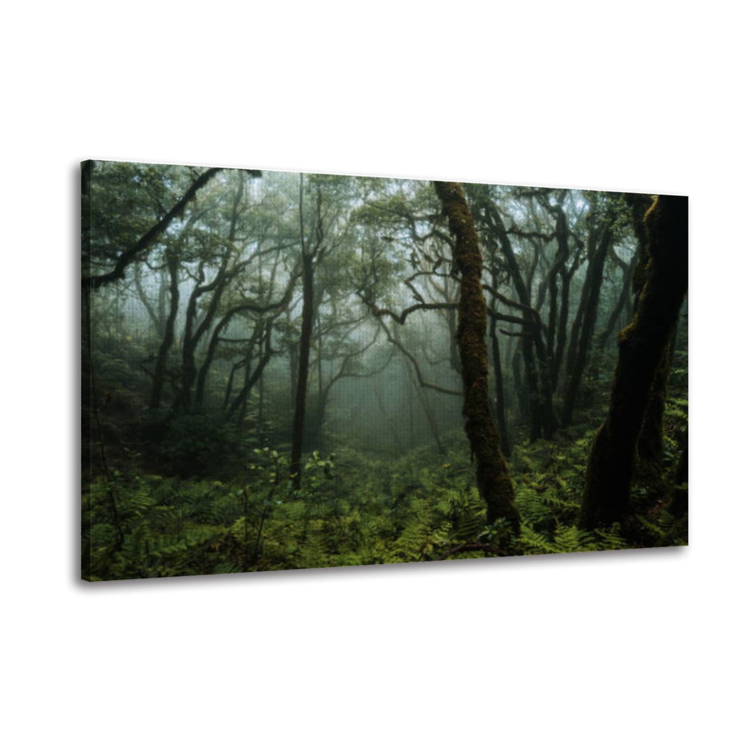 Canvas Wall Art Misty foggy forest ecosystem Anaga UNESCO site Tenerife ...