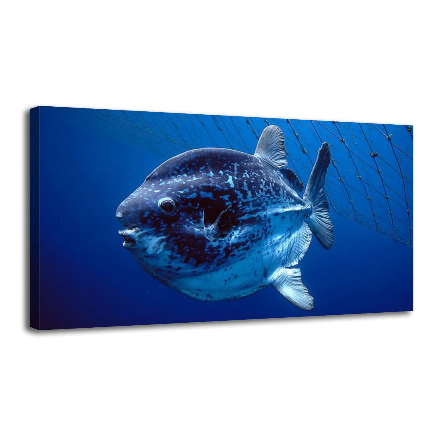Canvas Wall Art Moonfish Wall Decor for Living Room Bathroom Bedroom Office 20" x 40" Art ...
