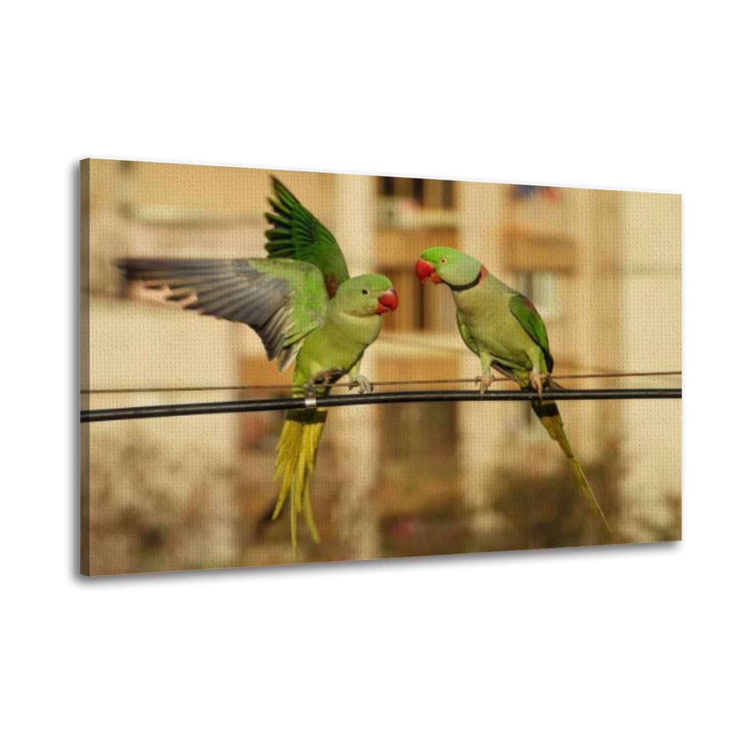 Canvas Wall Art Parrot Wall Decor for Living Room Bathroom Bedroom ...
