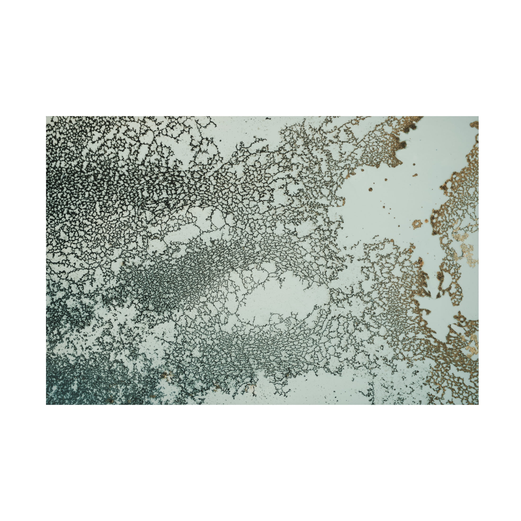 Canvas Wall Art - Petra Meikle de Vlas 'Synchronize' Wall Art for ...