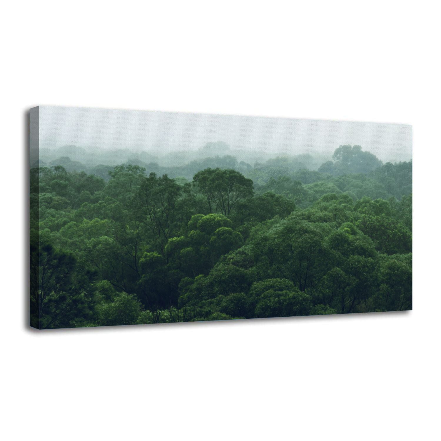 Canvas Wall Art Rainforest jungle aerial view Wall Decor for Living ...