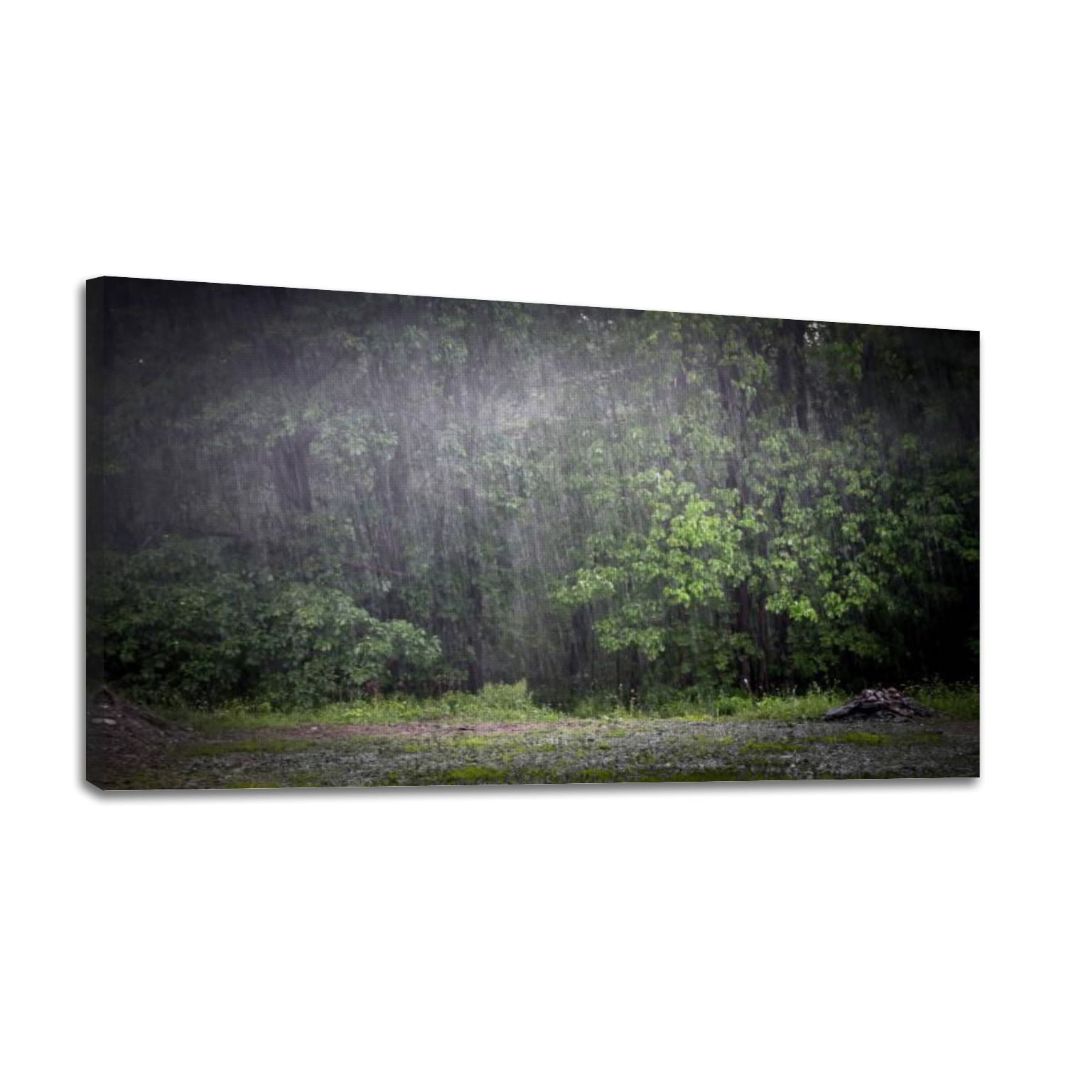 Canvas Wall Art Rainstorm Woods Wall Decor for Living Room Bathroom ...